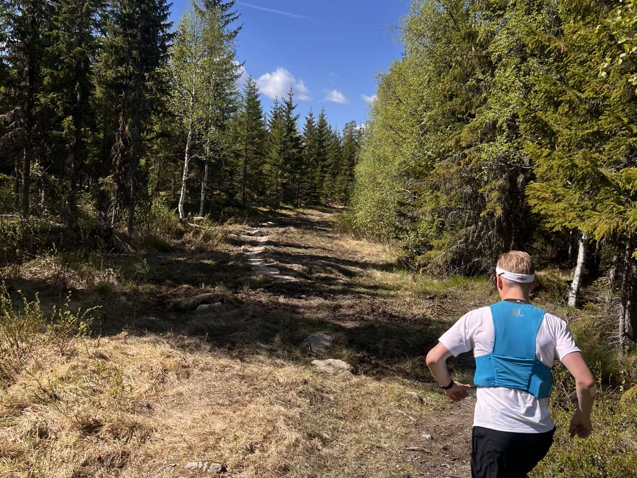 Birken | Tørt og fint i løpstraseen