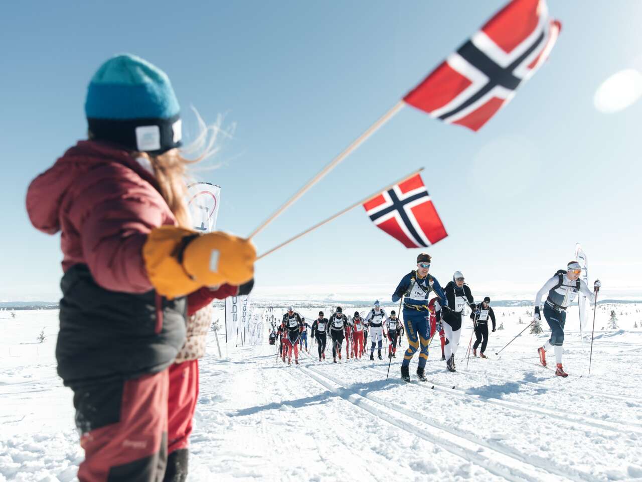 Birken | About Birken