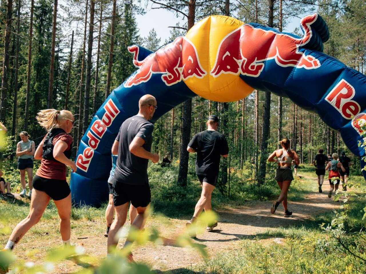 Birken | Birkebeinerløpet 21 km